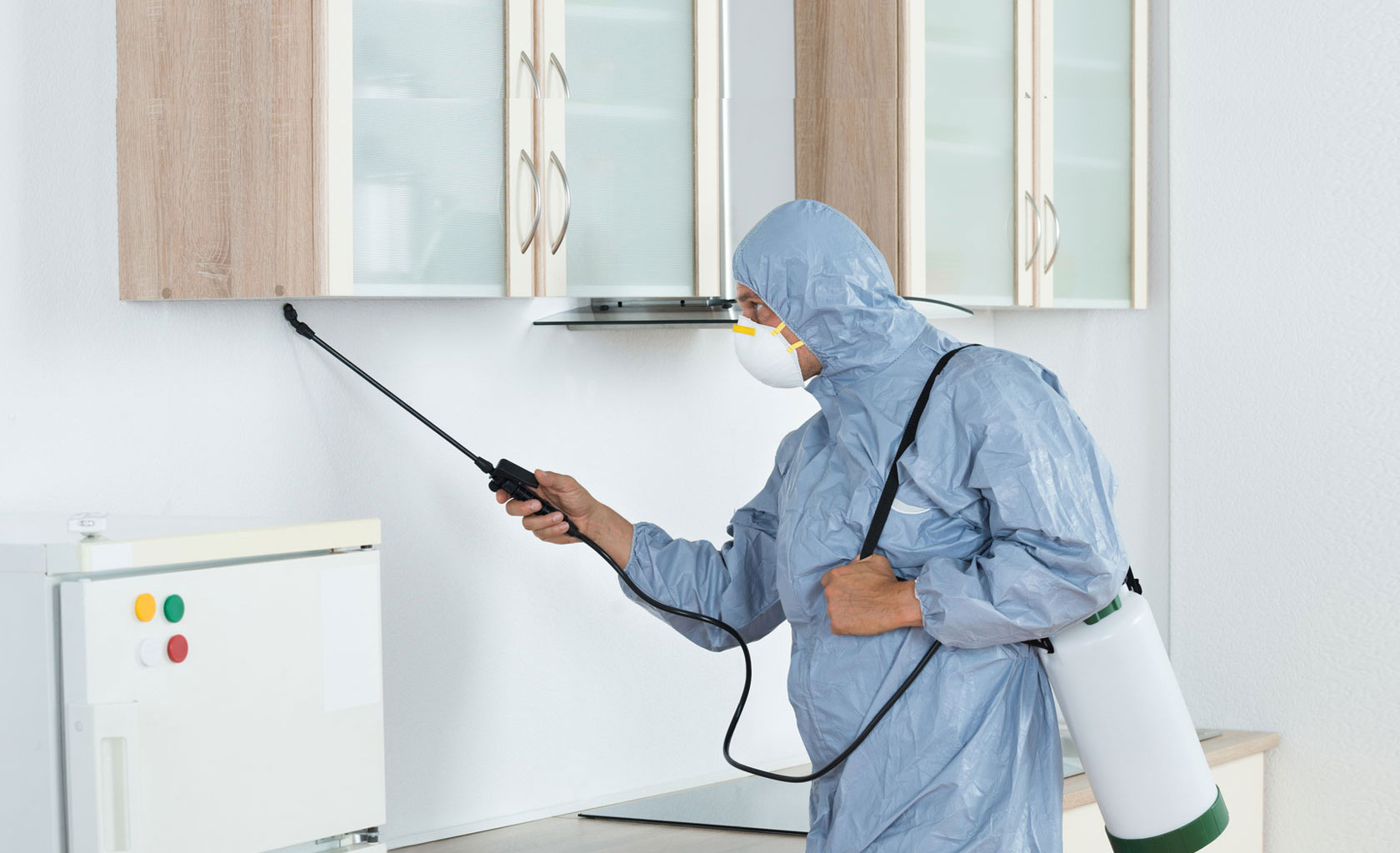 Pest Control Dubai TOP H Cleaning Company In Dubai Pest Control Dubai TOP H Cleaning Company In Dubai